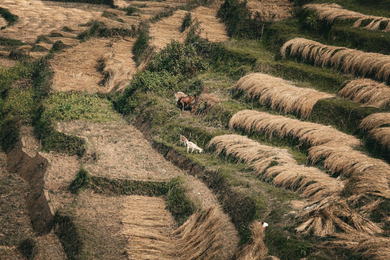 What is behavior management? – Focuskeeper Glossary