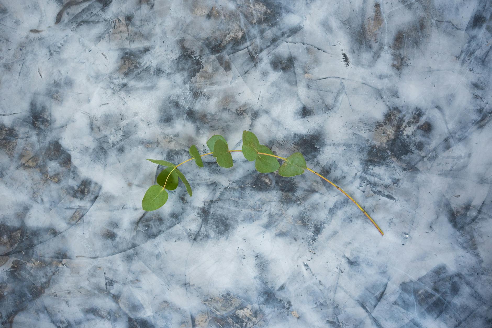What is environmental design? – Focuskeeper Glossary