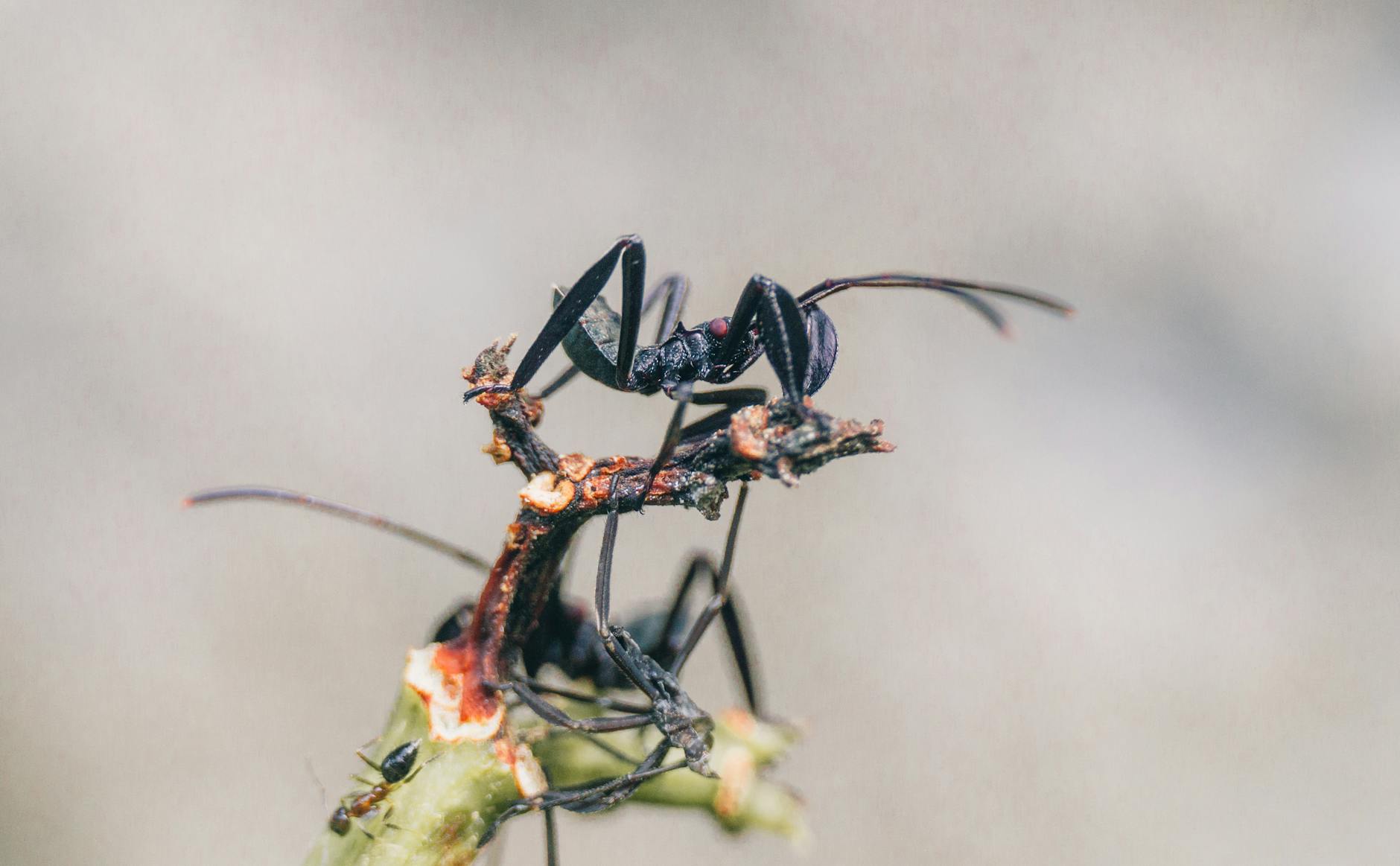 What is focus environments? – Focuskeeper Glossary