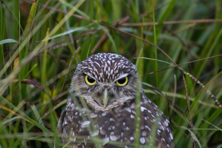 What is habit tracking solution? – Focuskeeper Glossary