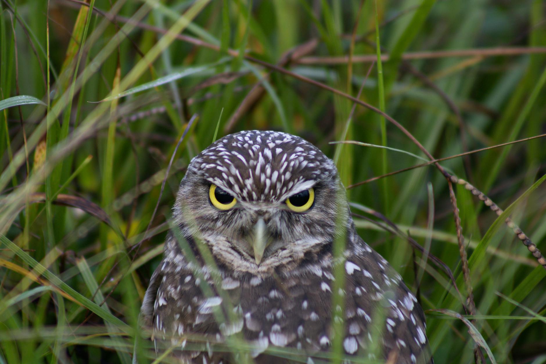 What is habit tracking solution? – Focuskeeper Glossary