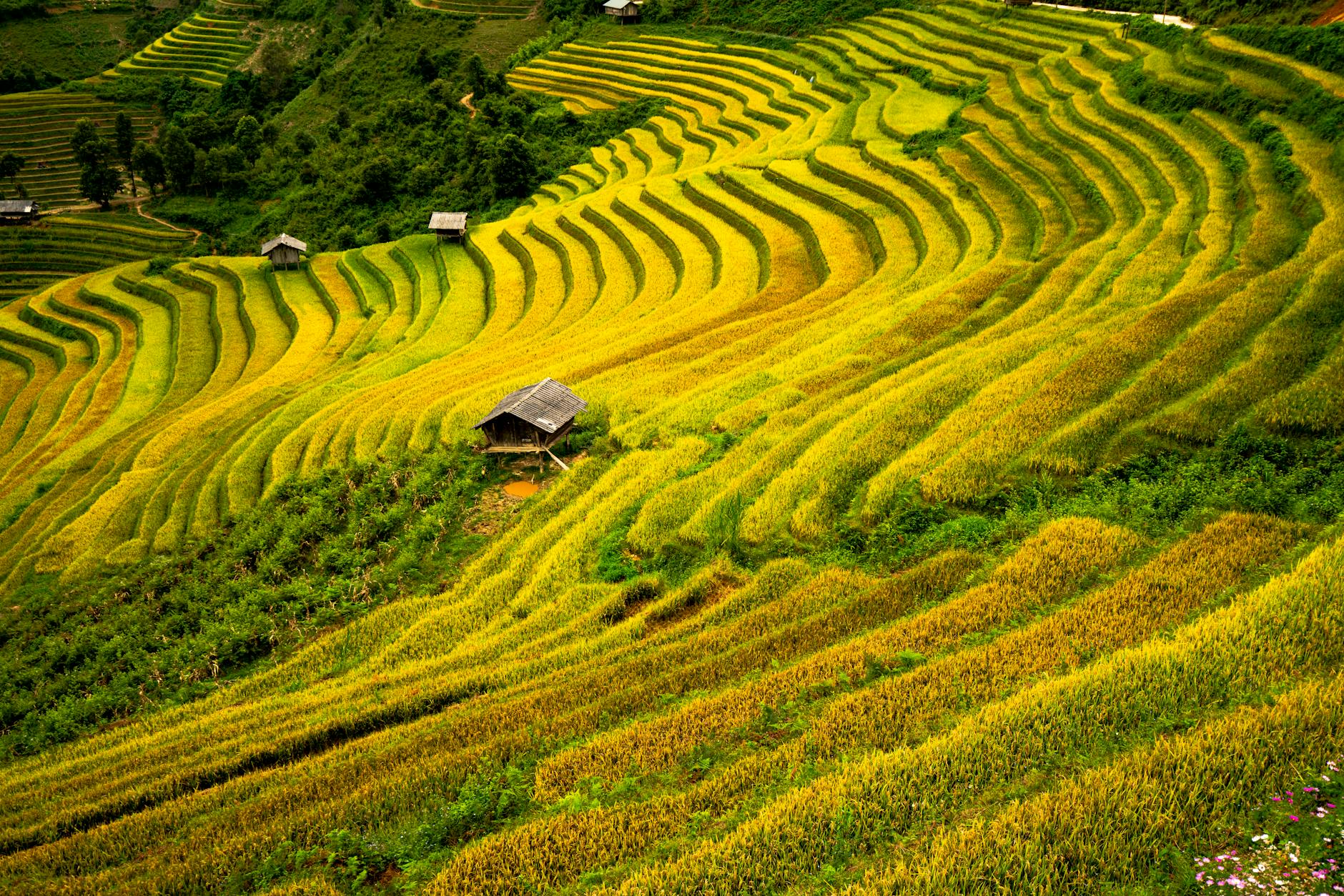 What is scheduling strategies? – Focuskeeper Glossary