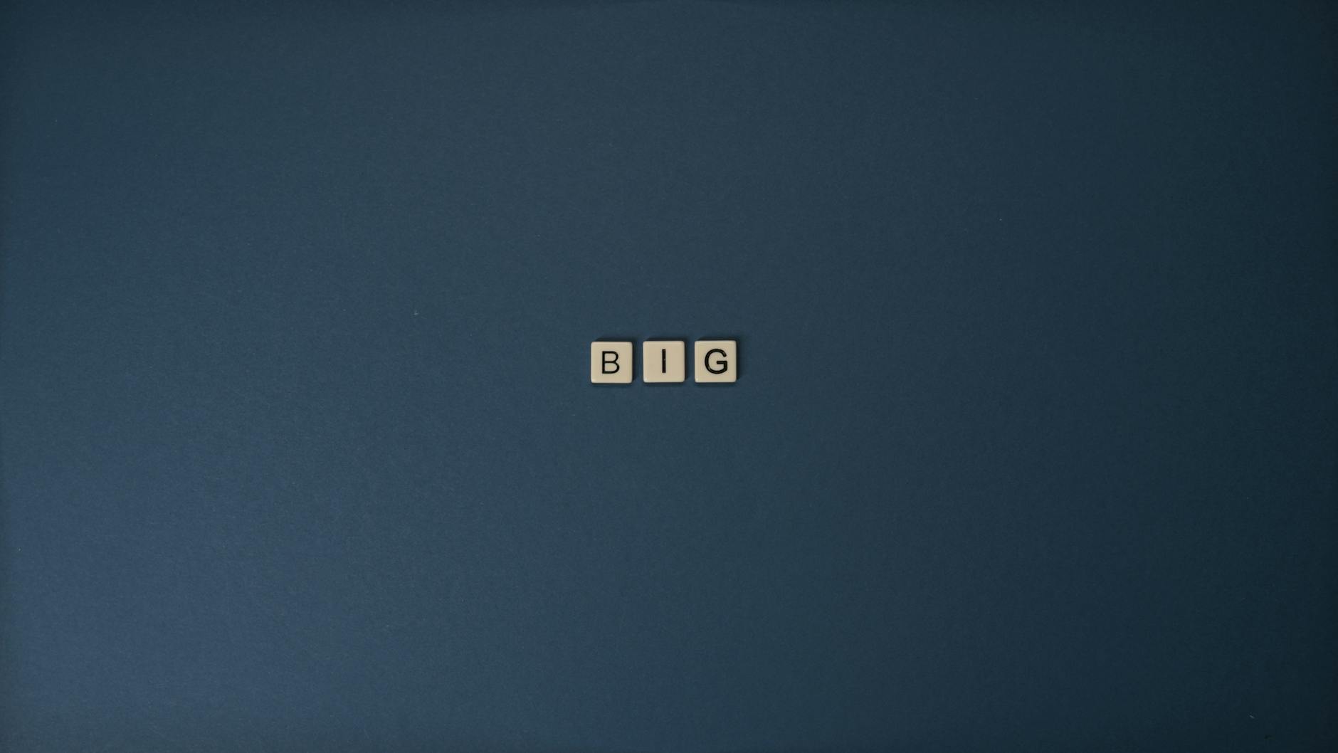 What is social cognition? – Focuskeeper Glossary