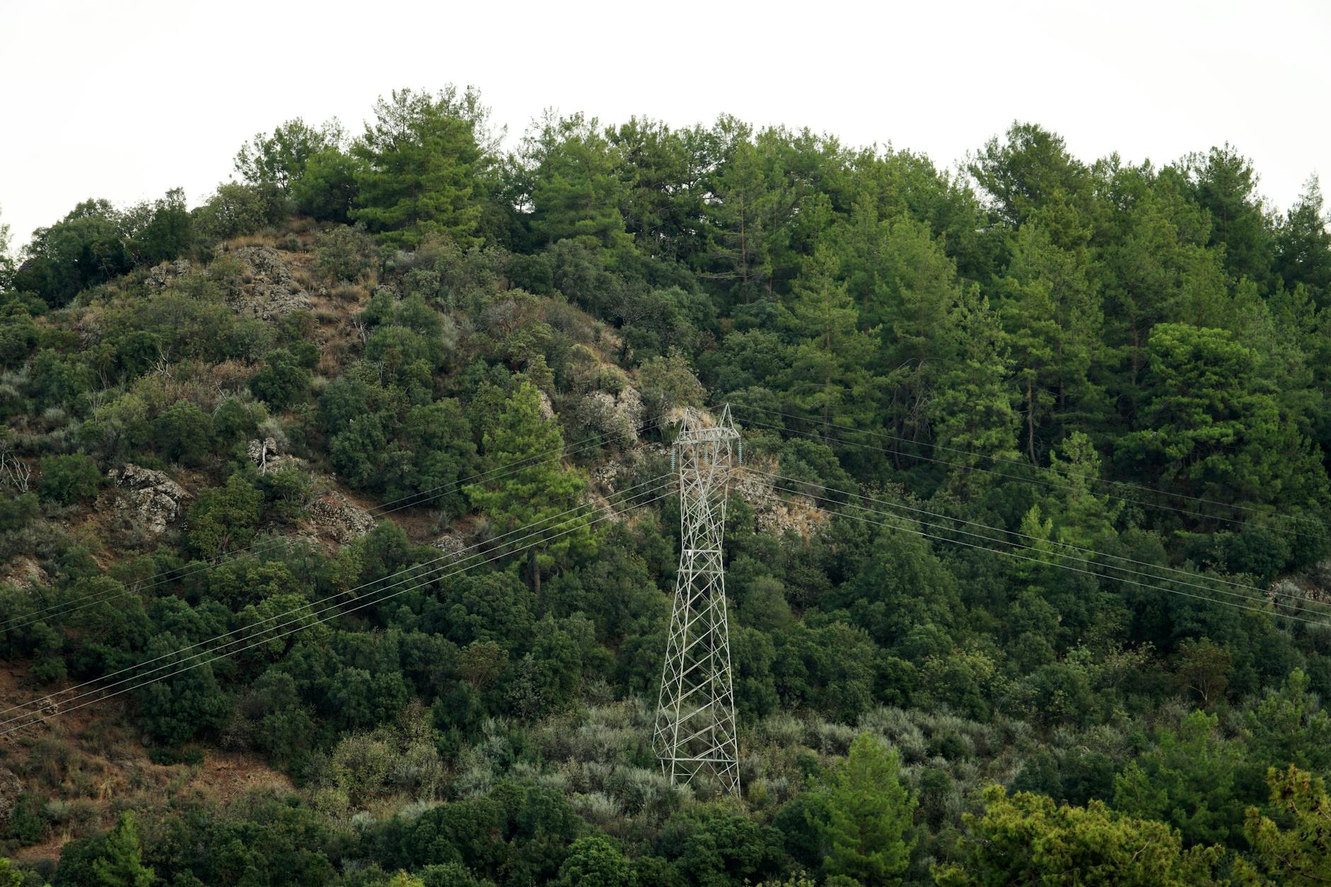 What is technology overuse? – Focuskeeper Glossary