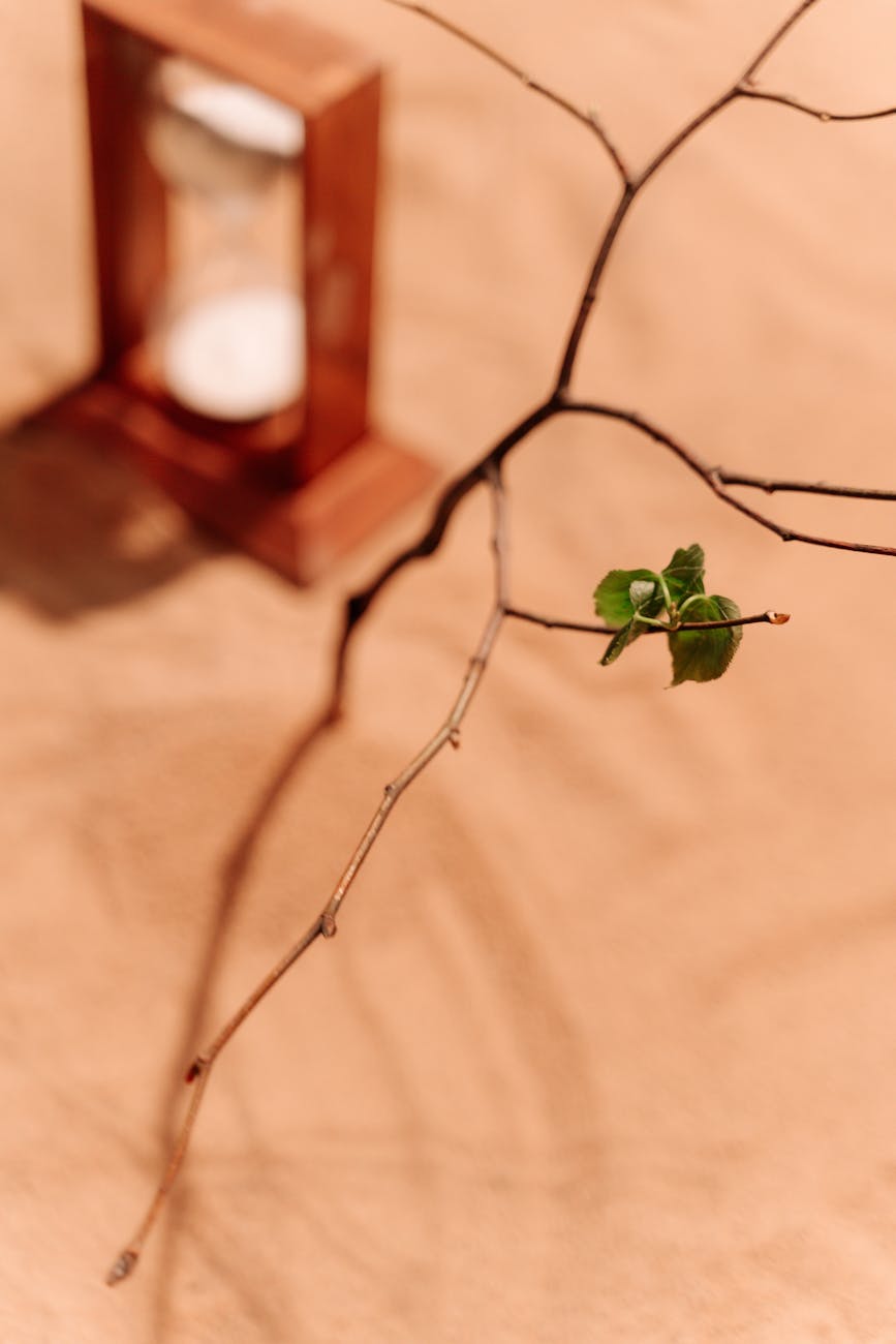 What is time awareness strategies? – Focuskeeper Glossary