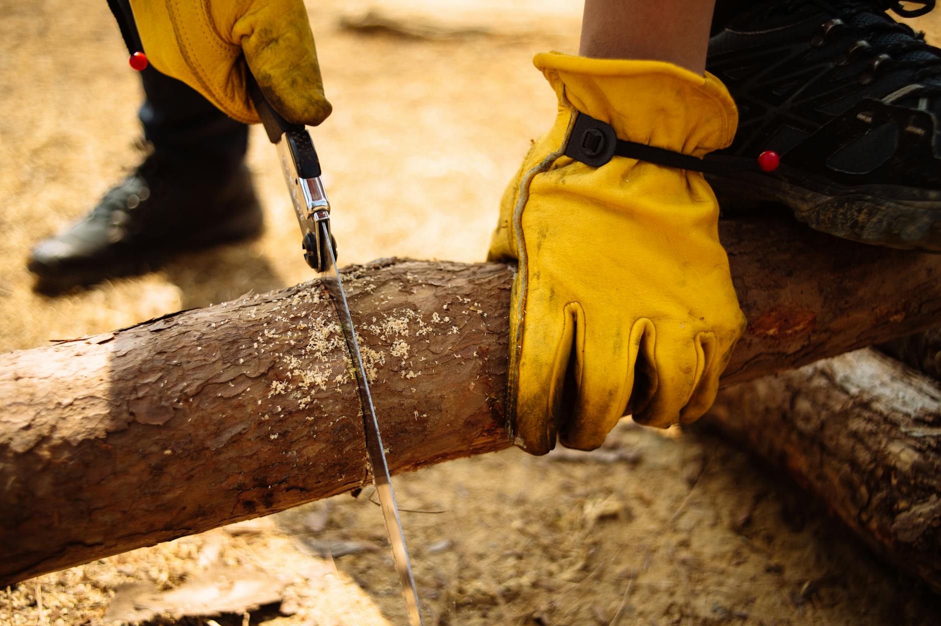 What is time log techniques? – Focuskeeper Glossary