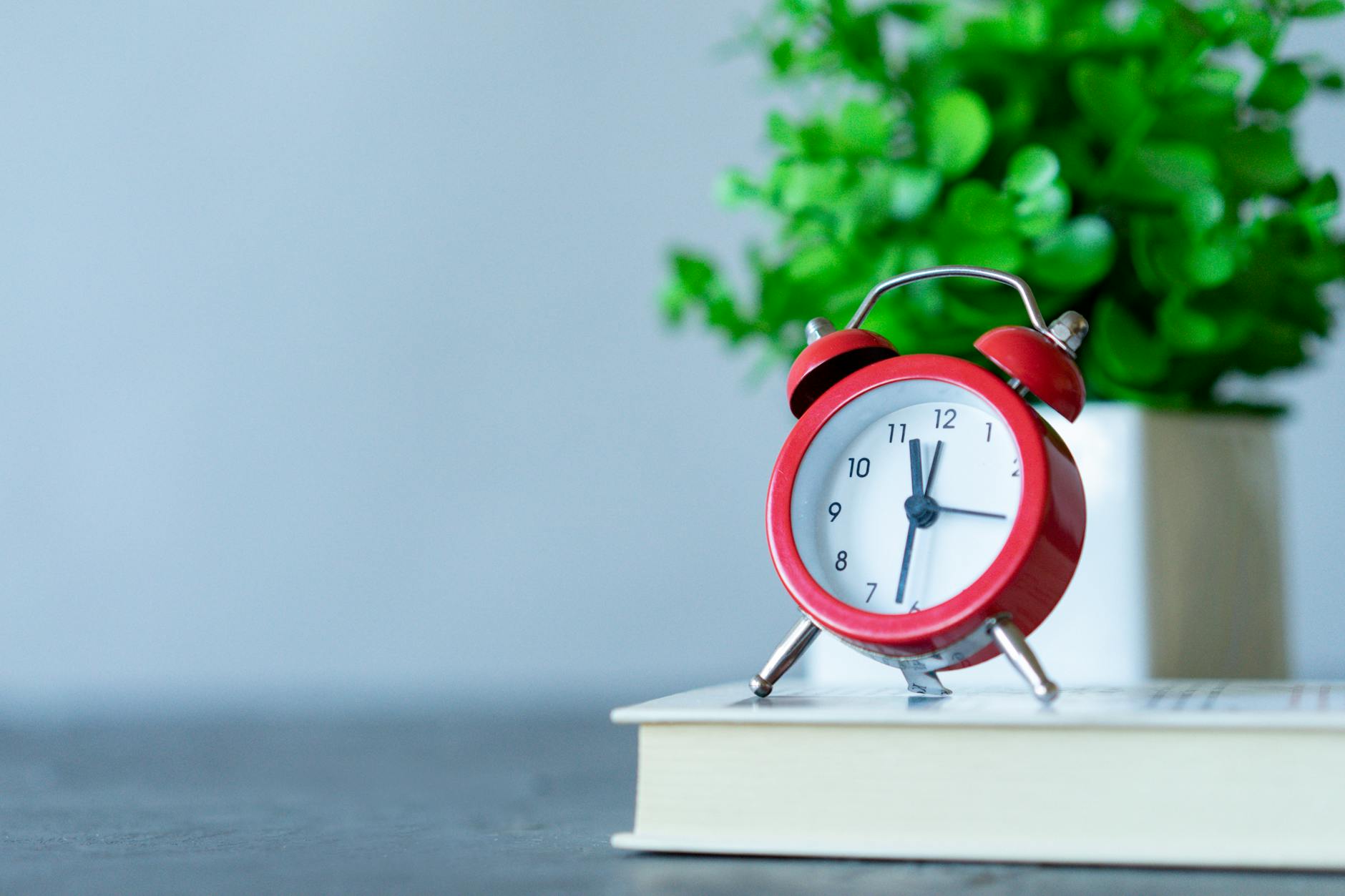 What is timer to study? – Focuskeeper Glossary